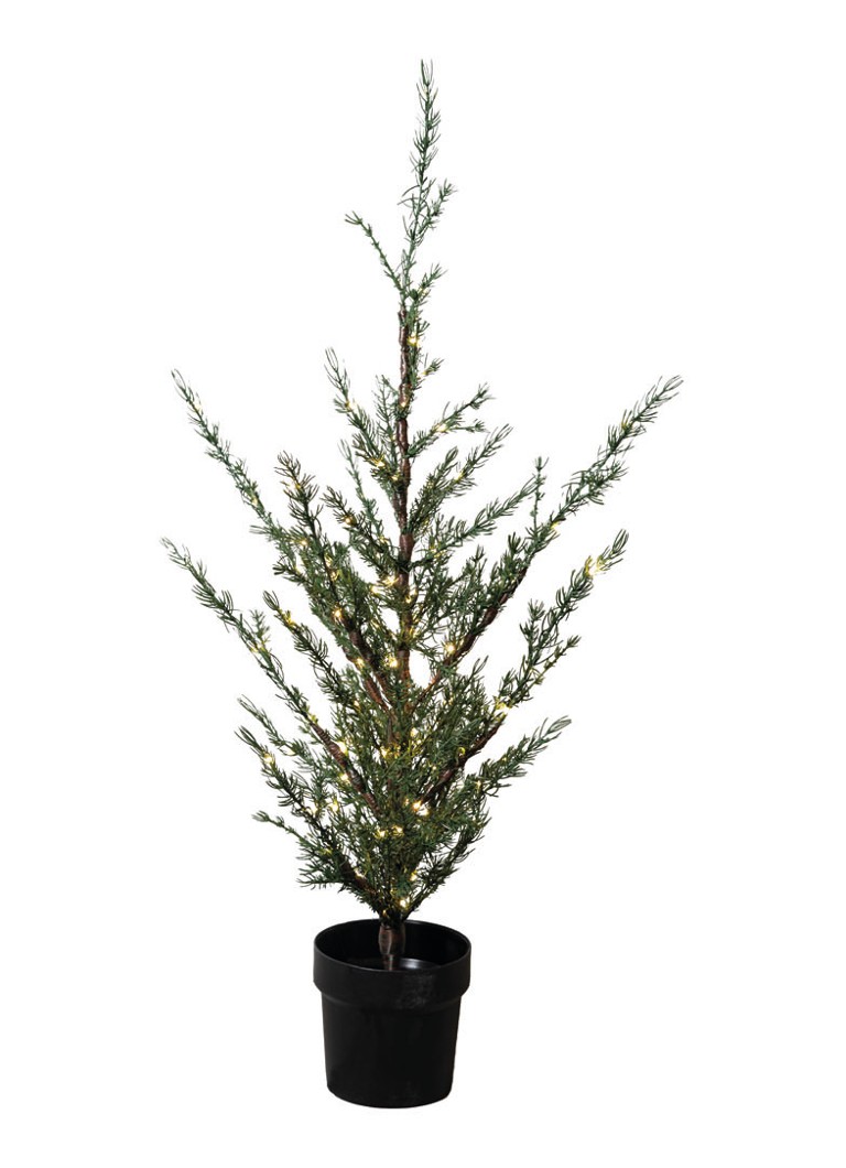 Sirius Milas Cedar tree 150 lampjes groen 130 cm • de Bijenkorf
