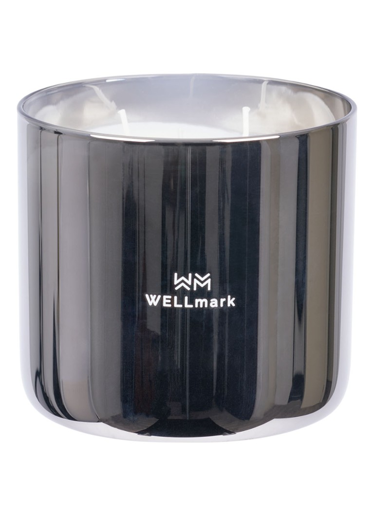 Wellmark Bold Future geurkaars 4,25 kg • Zilver • de Bijenkorf