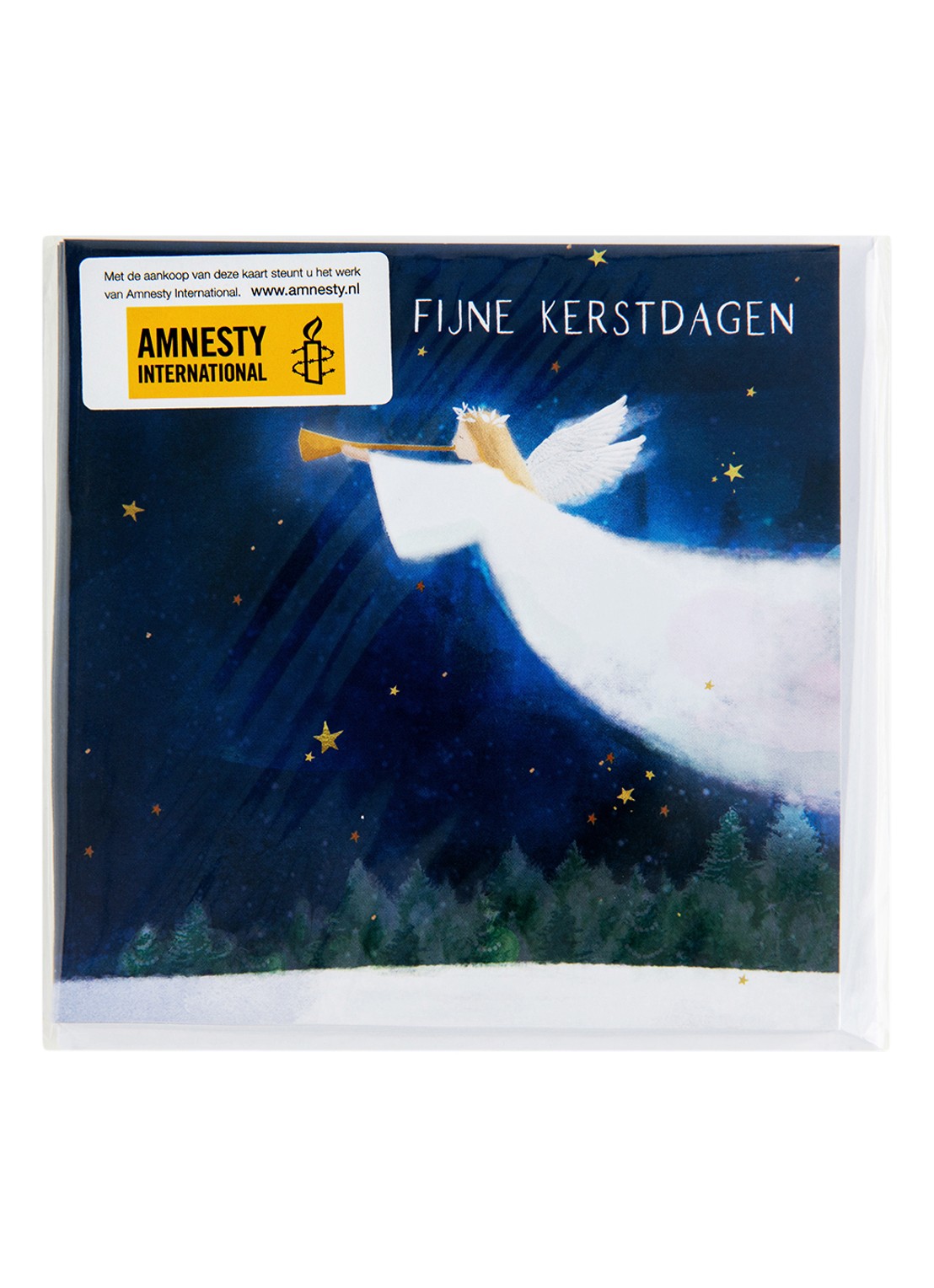 MAP Publishing Fijne Kerstdagen Engel kerstkaart - set van 8 inclusief ...