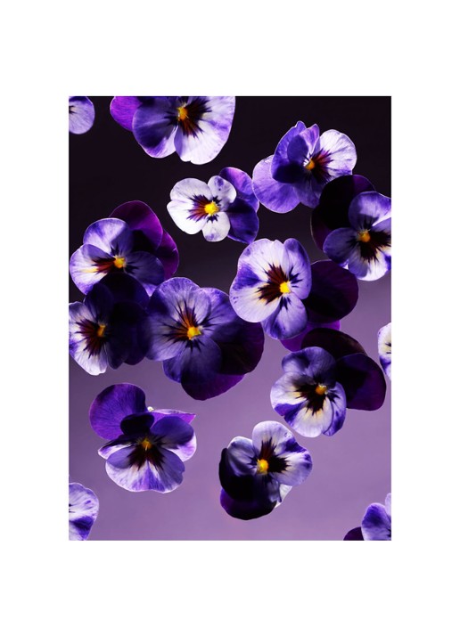 Rituals Smooth Violet Refill Hand Wash - handzeep navulling 600 ml • de ...