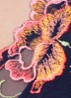 PrimaDonna Devdaha voorgevormde bh met overlay van mesh en borduring ...