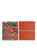 LOEWE Tomato Leaves Mini Solid Soap Bar Duo Set - zeep • de Bijenkorf